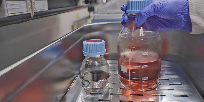 Considerations for Selecting and Operating a Bath or Chiller | Lab Manager