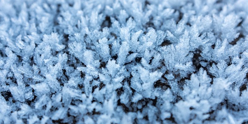 ‘time Traveling Pathogens In Melting Permafrost Pose Risk To