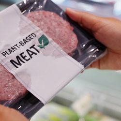 How Green is Algae-Based Fuel? | Lab Manager