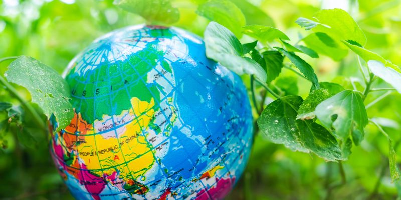 A Global Observatory to Monitor Earth’s Biodiversity | Lab Manager