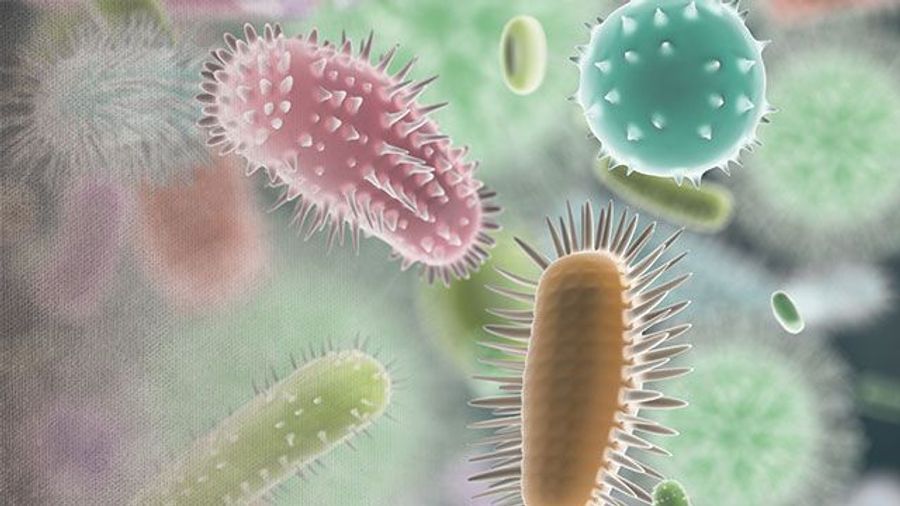 Next-Gen Sequencing for Microbiomes | Lab Manager