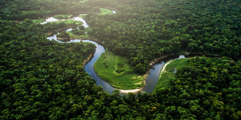 Climate Change-Induced Drought May Transform Parts of the Amazon’s Rain ...