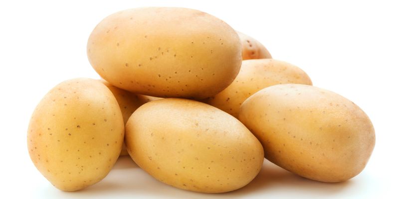The Search for the Super Potato | Lab Manager