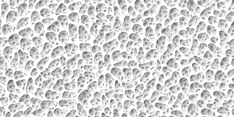 Structure Formation during Freeze Casting Filmed in 3D and Real Time ...