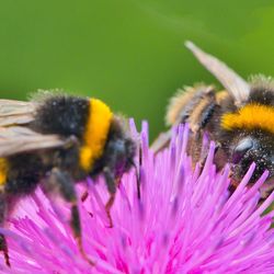 How Lifestyle Affects Our Genes | Lab Manager