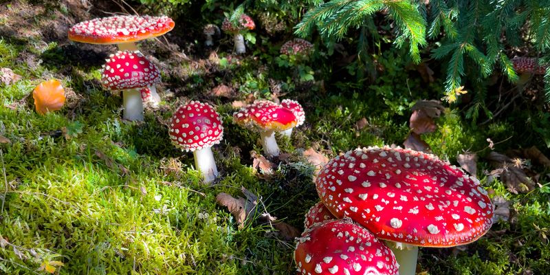 How Climate Warming Could Disrupt a Deep-Rooted Relationship | Lab Manager