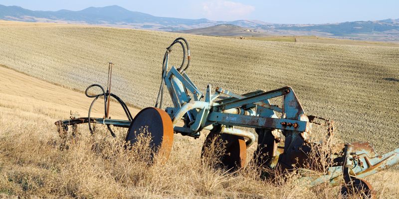 Give Abandoned Croplands a Second Chance to Boost Climate Mitigation ...