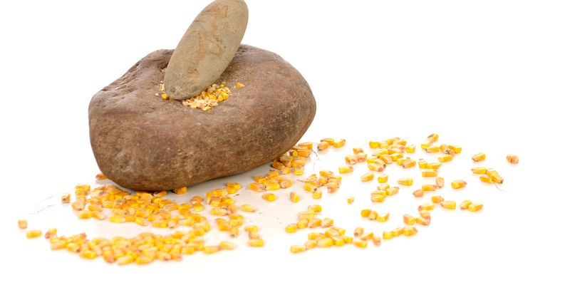 Analysis of Grinding Tools Reveals Plant, Pigment, and Bone Processing ...