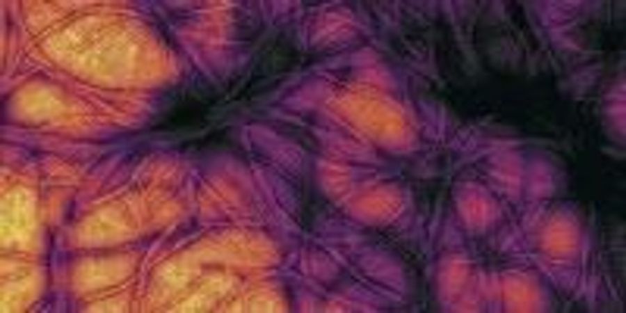 The Eyes Have It | Lab Manager