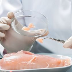 Microscopy Resource Guide | Lab Manager