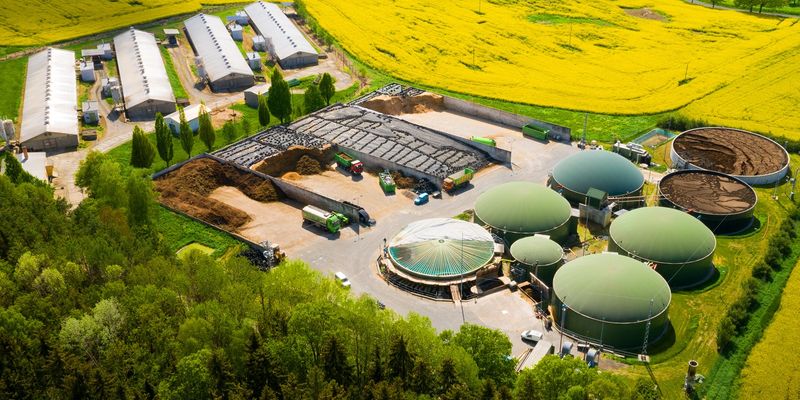 The Good and Bad Uses of Biomass for California | Lab Manager