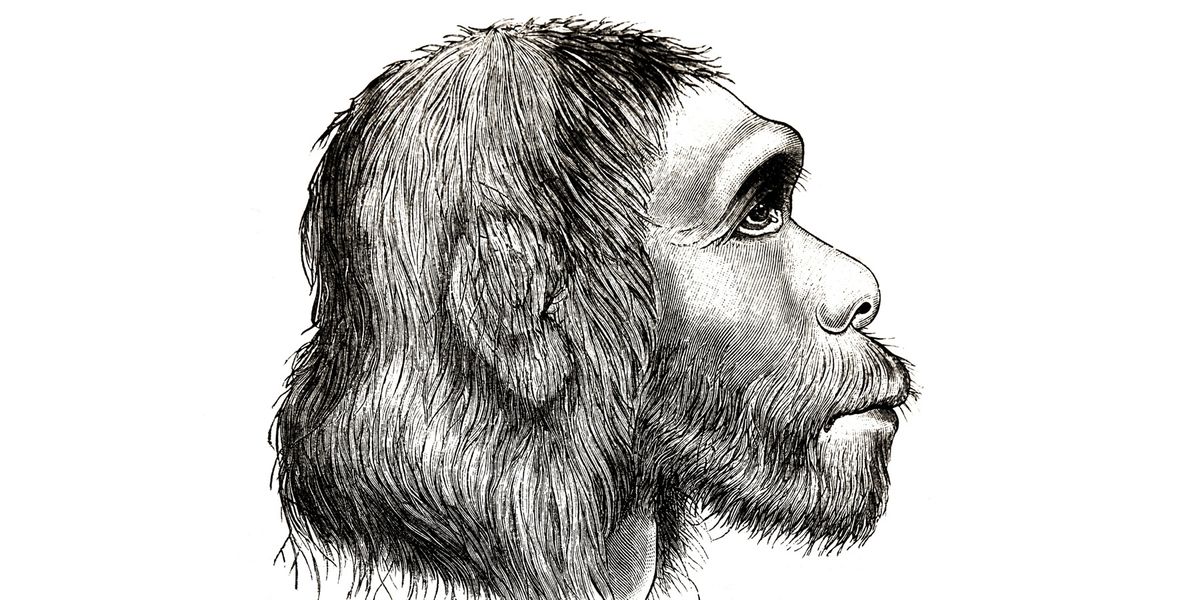 Neanderthal Human Interaction