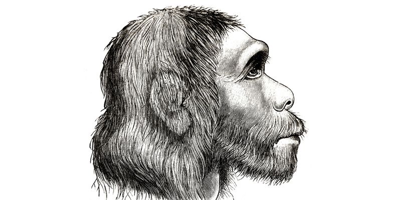 Neanderthals Had Ancient Interactions with ‘Cousins’ of Modern Humans ...