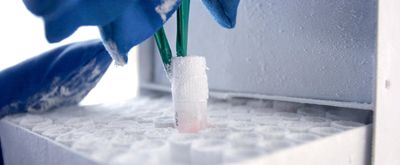 Accelerating Lab Sustainability: Insights on Cultural Change from the ...