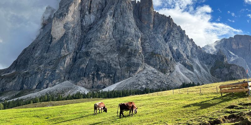 ‘Dolomite Problem’: 200-Year-Old Geology Mystery Resolved | Lab Manager