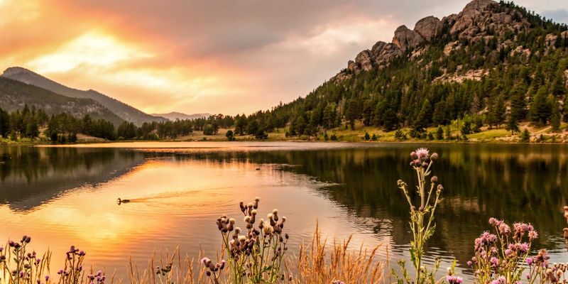 Researchers Develop Grassroots Framework for Managing Environmental ...