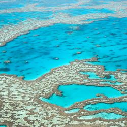 The Basics of Elemental Analysis | Lab Manager