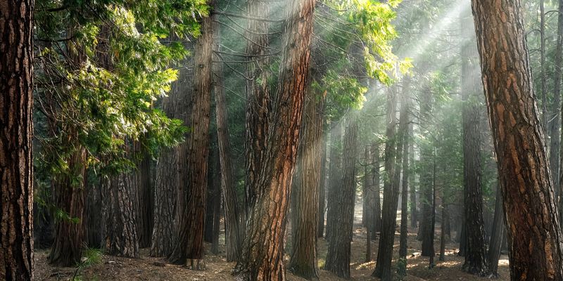 Scientists Might Be Using a Flawed Strategy to Predict Impacts of ...