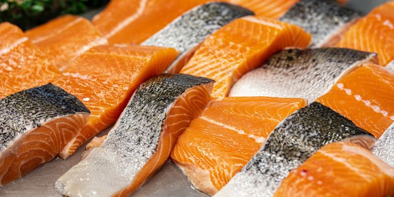 Black Spot on Salmon: Understanding Pigmentation in Atlantic Salmon ...