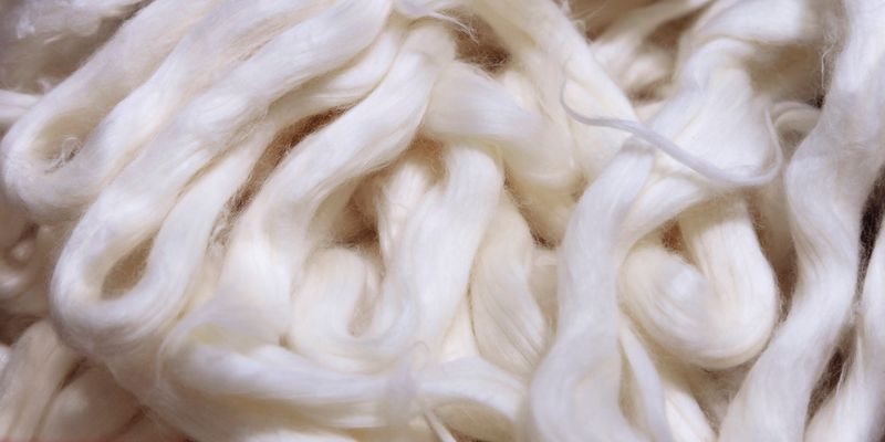 Naturalistic Silk Spun from Artificial Spider Gland | Lab Manager
