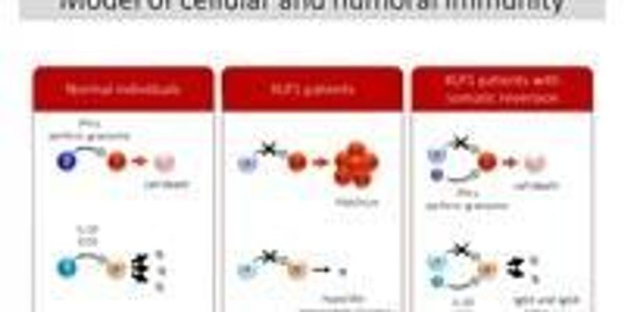 Small Populations of Normal Cells Affect Immunity in Patients with XLP1 ...