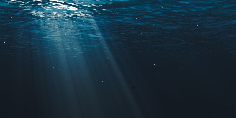 Anoxic Marine Basins among the Best Candidates for Deep-Sea Carbon ...