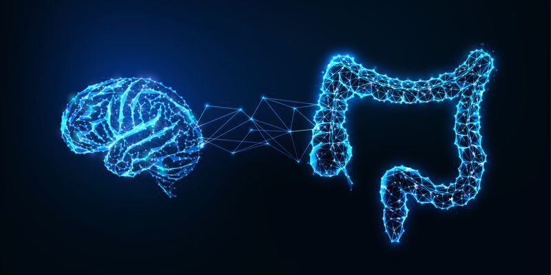 Gut Brain Communication Turned On Its Axis Lab Manager