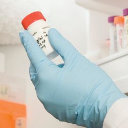 Keeping Your Samples Safe: Cold Storage Solutions | Lab Manager