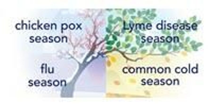 Mark Your Calendar: All Infectious Diseases Are Seasonal | Lab Manager