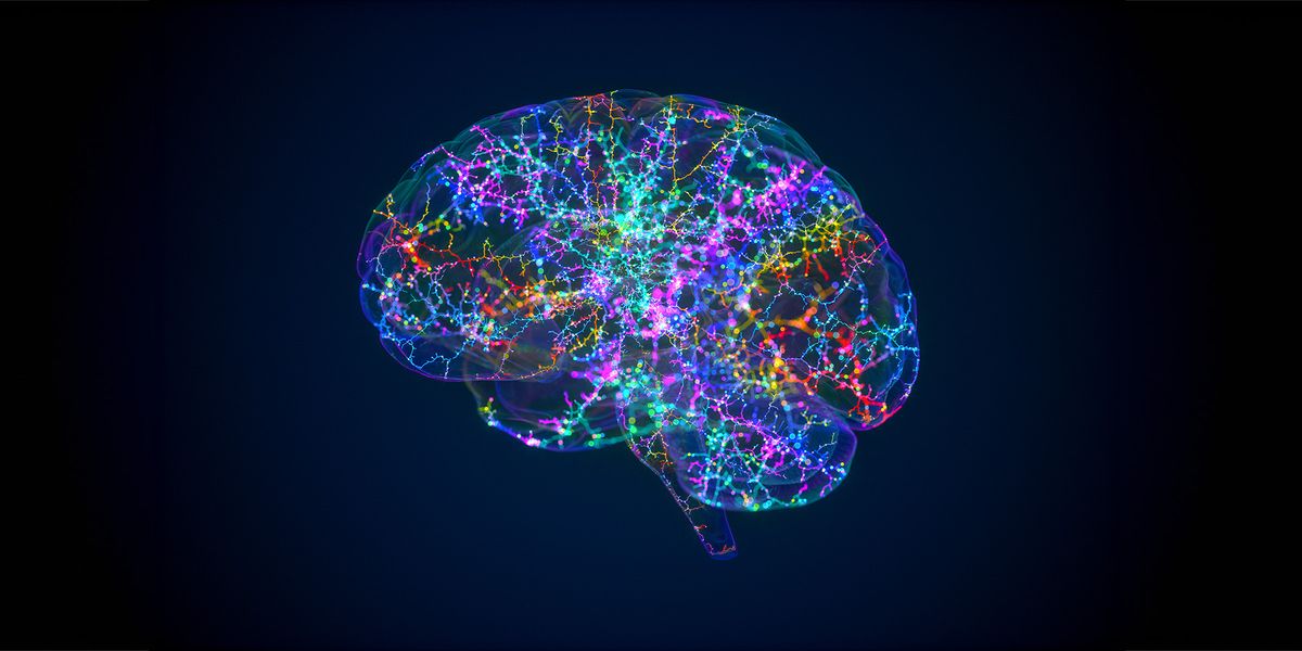 Fmri Brain Images