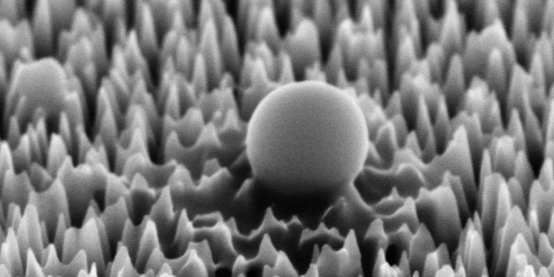 Virus-Killing Nanospike Surfaces Could Help Control Disease Spread ...
