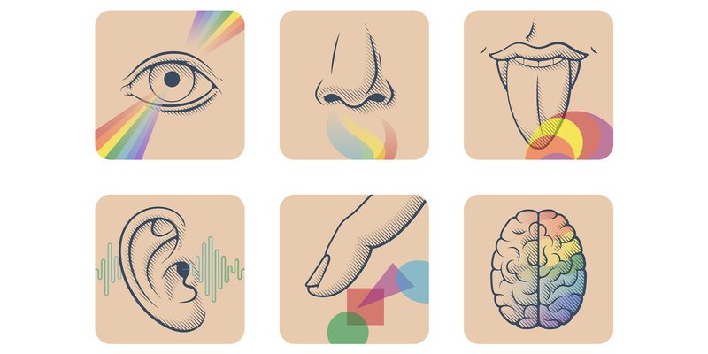 Study Proves Vision and Touch Are Linked at Birth | Lab Manager