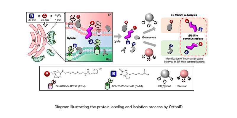 Decoding The Language Of Cells Lab Manager