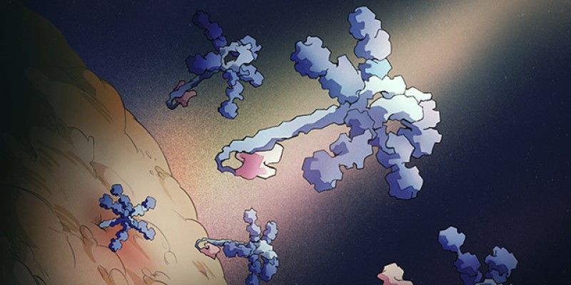 New Class of Antimicrobials Discovered in Soil Bacteria | Lab Manager