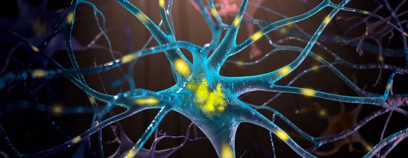 Advanced Cell Models Enable Neurodegenerative Disease Research | Lab ...