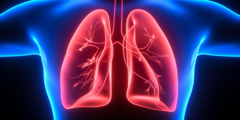 New Analysis Drives Change for More Accurate and Equitable Lung ...