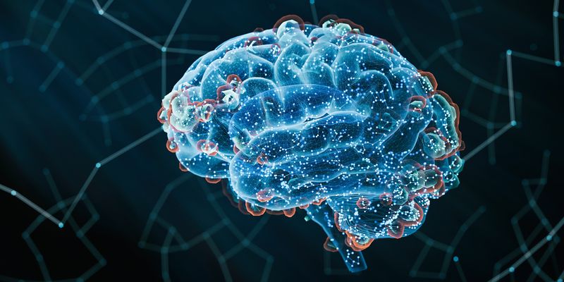 Scientists Identify the Origin of Stuttering in the Brain | Lab Manager