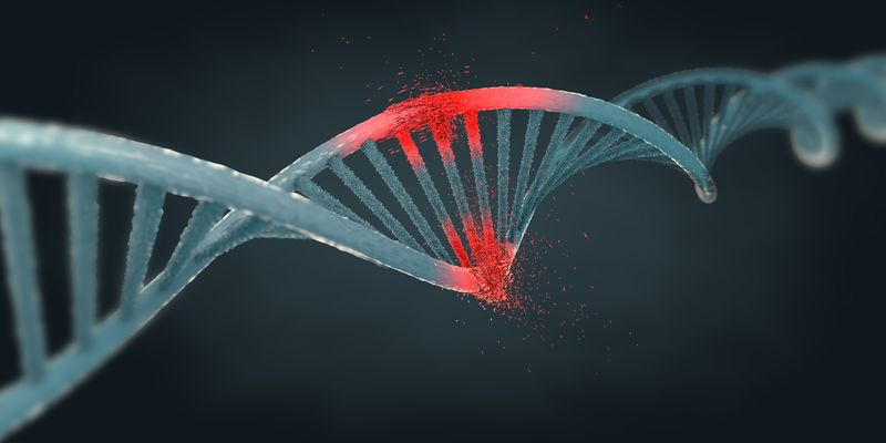 Rare Disease's DNA-Damaging Mutation Sheds Light on Other Diseases ...