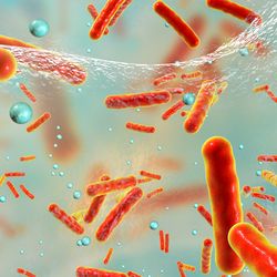 Accelerating Therapeutic Antibody Development | Lab Manager