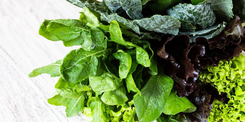 Wastewater Is a Viable Medium for Growing Lettuce Hydroponically, Study ...
