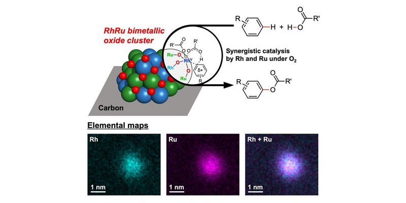 New Catalysts Enable Greener Ester Synthesis | Lab Manager