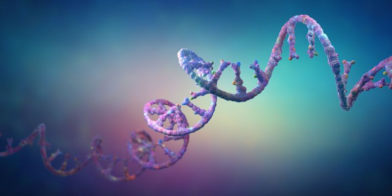 A Better Way to Make RNA Drugs | Lab Manager