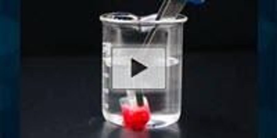 Wood Sponge Soaks Up Oil from Water | Lab Manager