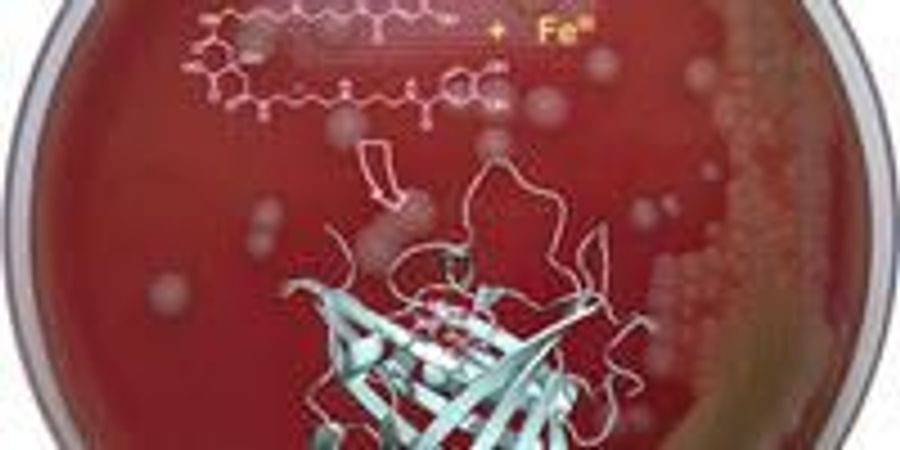 New Agent Against Anthrax | Lab Manager