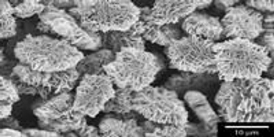 Electron Microscope Provides Look Inside the Organic Chemical Reaction ...