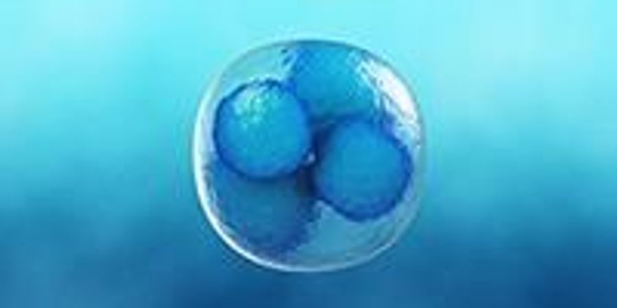 Scientists Mimic the Earliest Stages of Human Development | Lab Manager