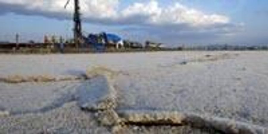 Dryer, Less Predictable Environment May Have Spurred Human Evolution | Lab Manager