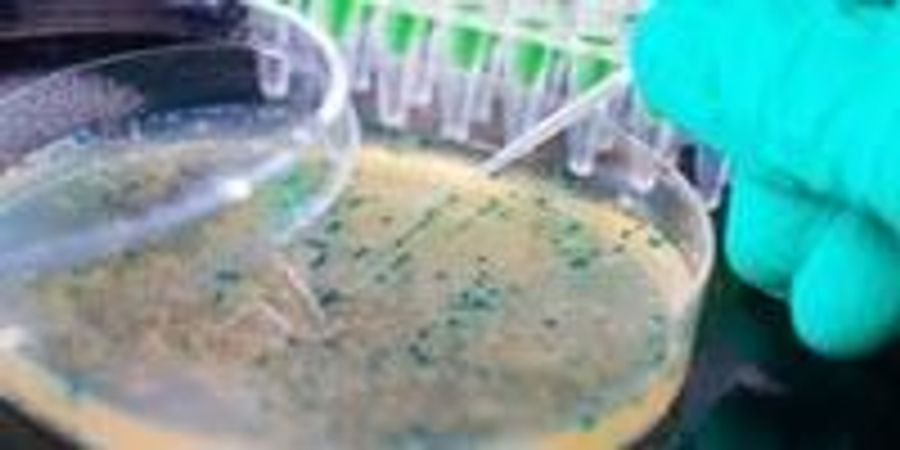 Empirical Bioscience’s New EB Pure Plasmid Mini-Prep Kit Offers High ...