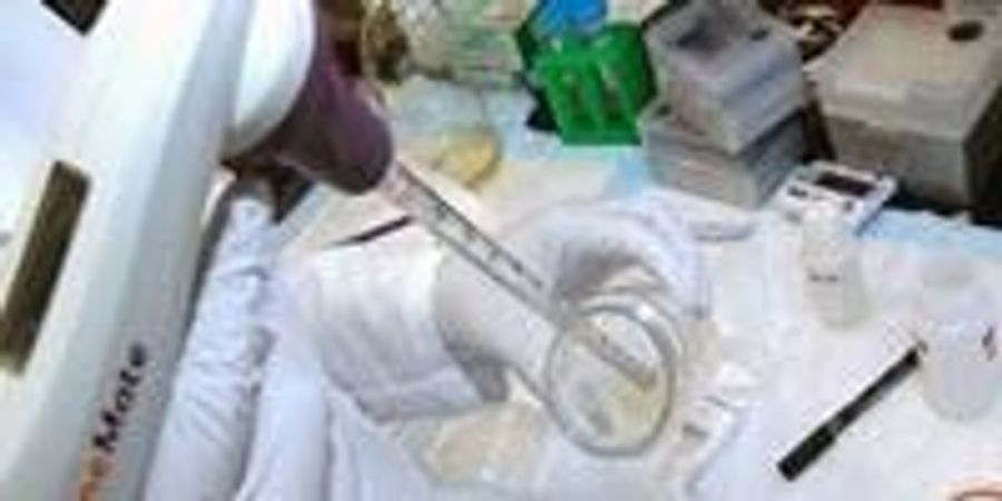 Making Mice a Tiny Bit More Human to Study Preterm Birth | Lab Manager