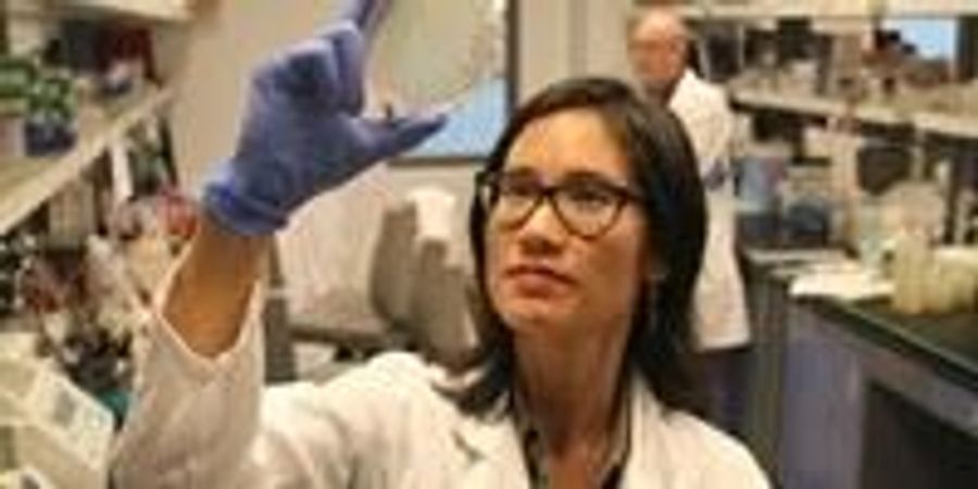 New Means to Fight 'Un-Killable' Bacteria in Healthcare Settings | Lab ...